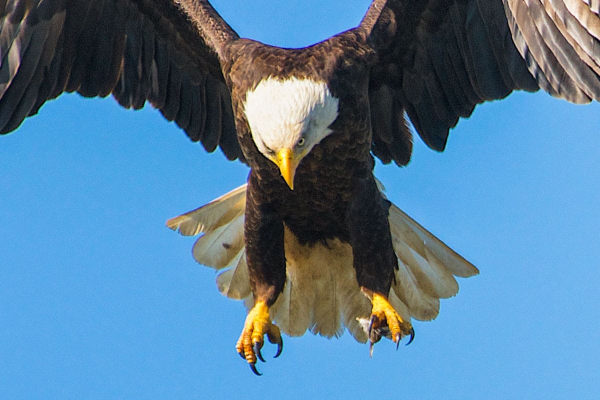 Enemies, Opponents and Rivals of Zeus - Myth Nerd