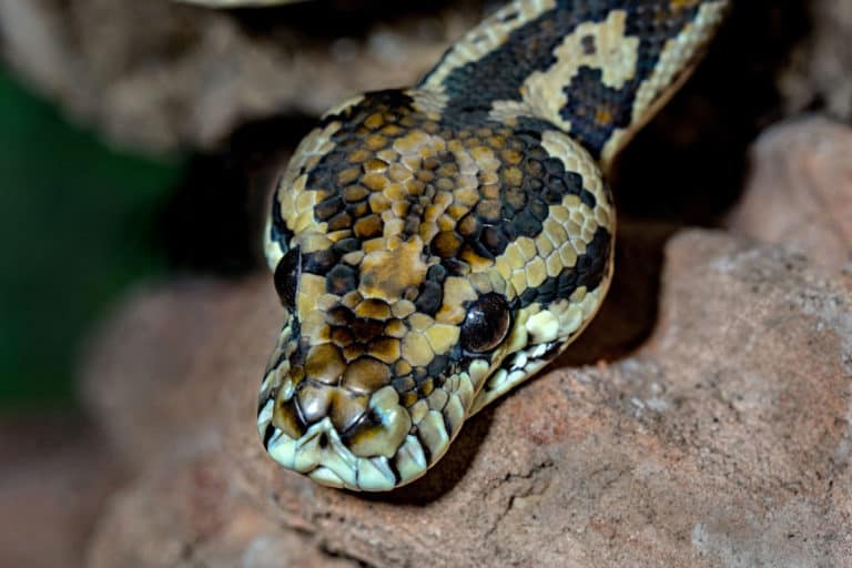 Most Evil and Dangerous Greek Gods and Goddesses - Myth Nerd