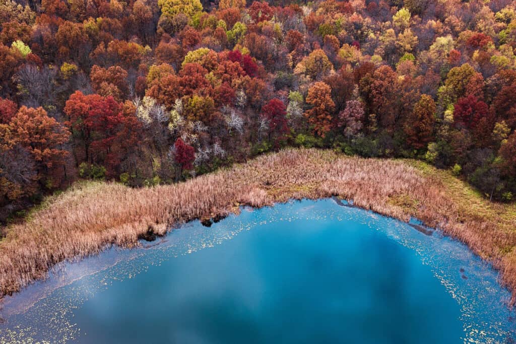 11 Important Types of Nymph in Greek Mythology - Myth Nerd