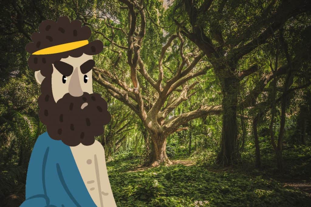 12 Interesting Facts about Hades: From Persephone to Comets - Myth Nerd