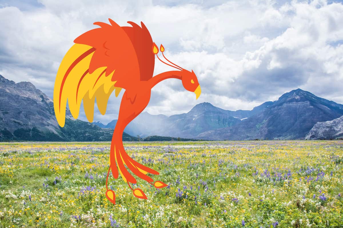 12 Facts About the Phoenix: Immortality, Color and Death - Myth Nerd